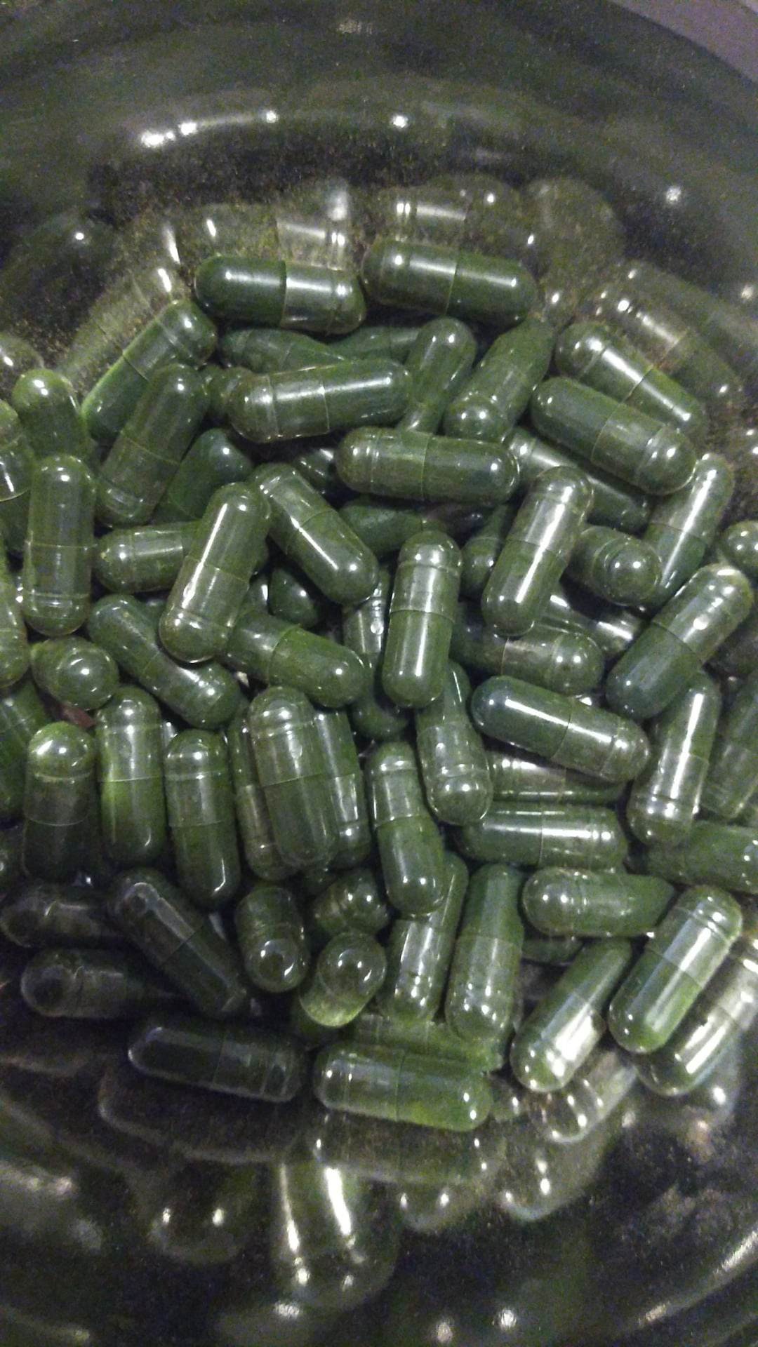 Dabberlocks, Wakame, Sea Moss, Bladderwrack, Kelp, Dulse, Chlorella ...