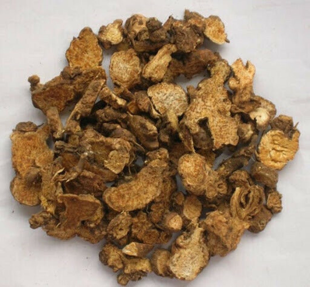 ATRACTYLODIS RHIZOMA >> 40 GRAMS - Etsy