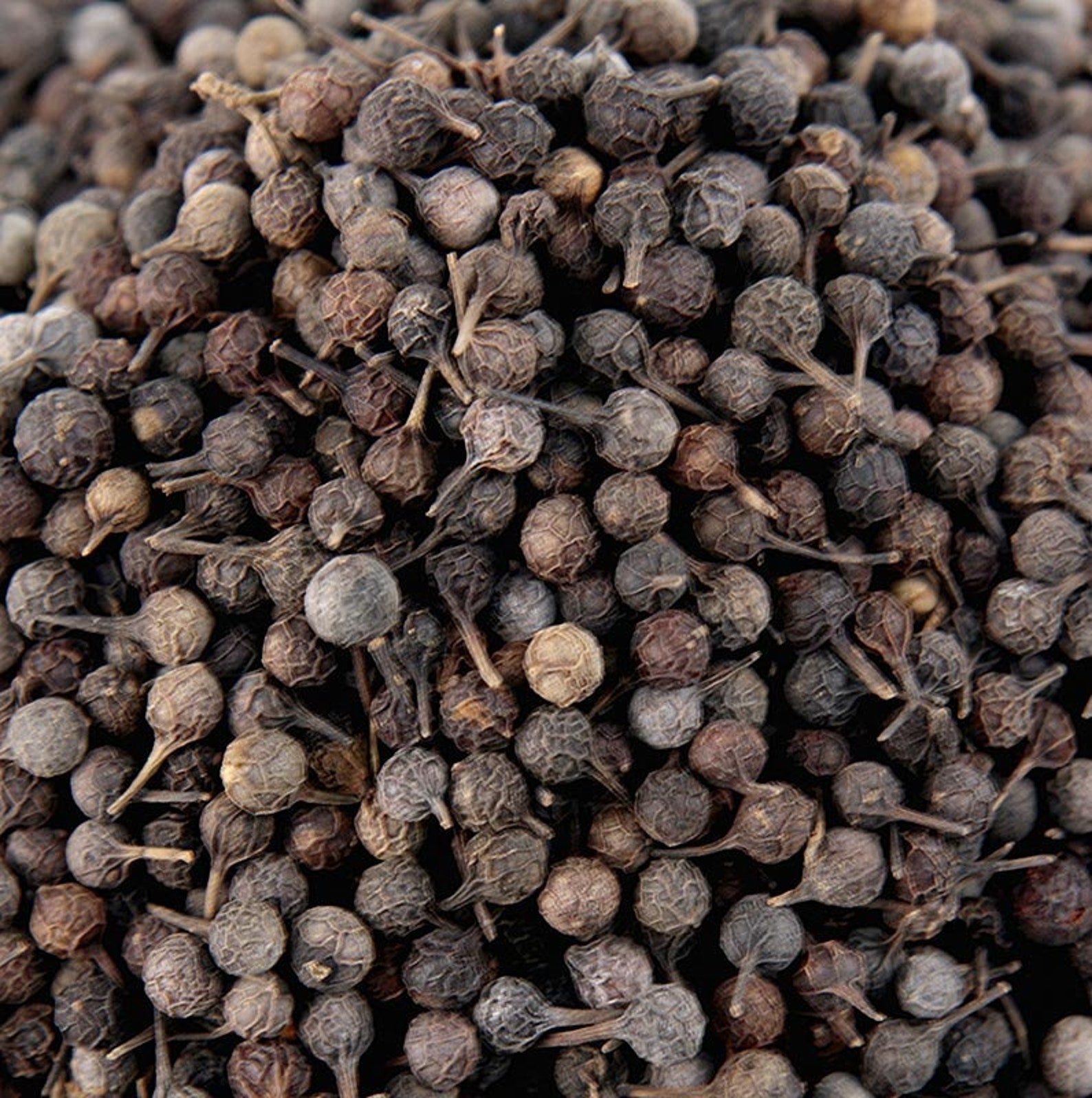 Cubeb Pepper Piper Cubeba 40 GRAMS - Etsy