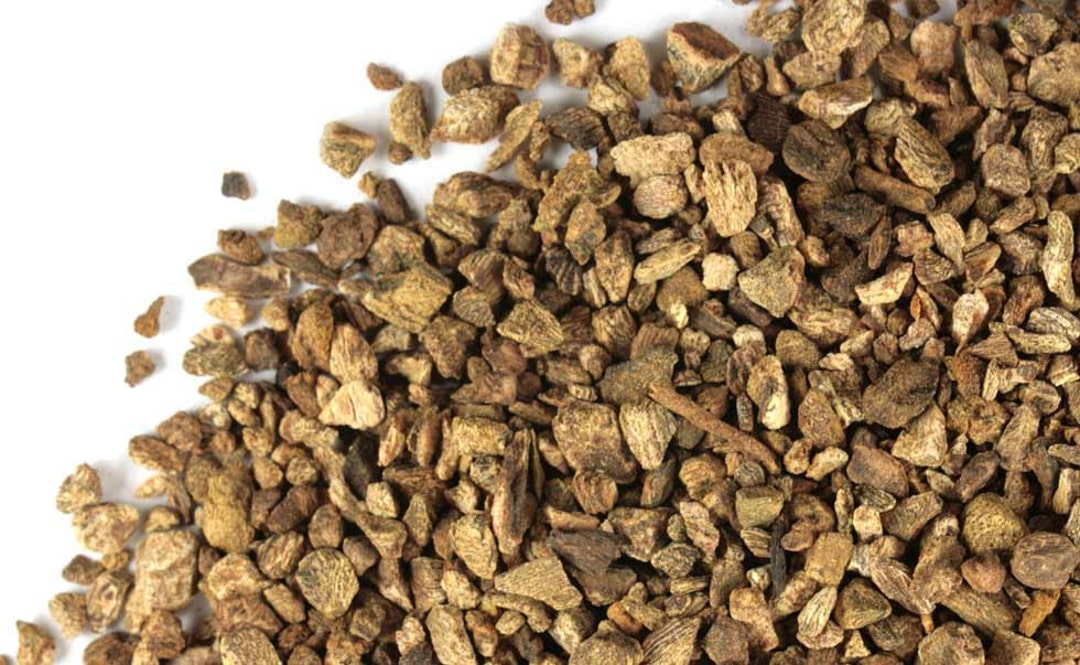 Organic Rhubarb Root >> 40 GRAMS >> Rheum Palmatum - Etsy