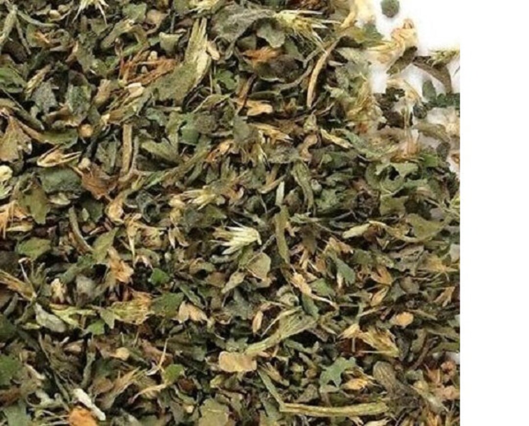 Butterbur Purple Leaves >> Petasites Folium >> 40 GRAMS - Etsy