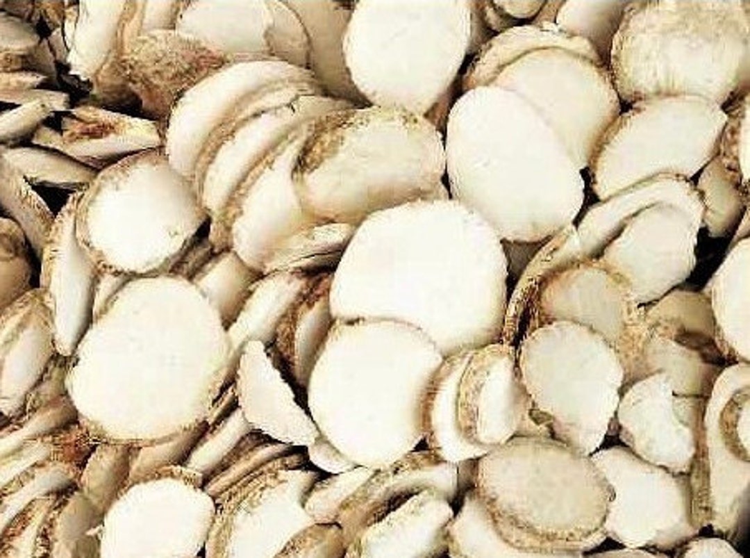 San Leng > Bur-reed Rhizome >> 60 GRAMS - Etsy