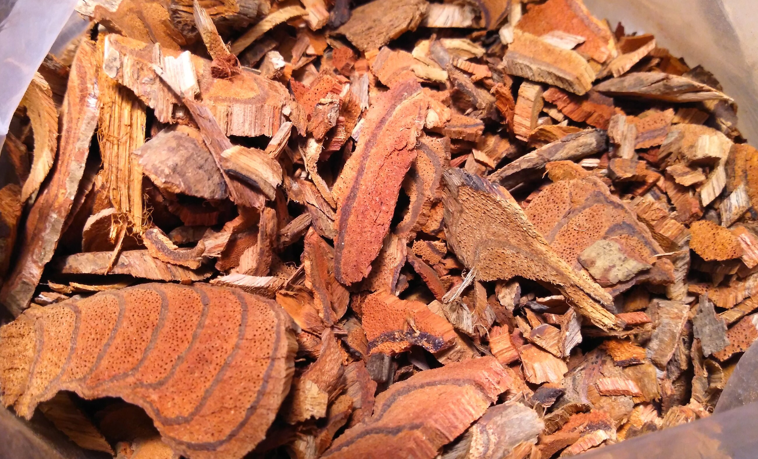 SPATHOLOBUS STEM 100 GRAMS Caulis Spatholobi - Etsy