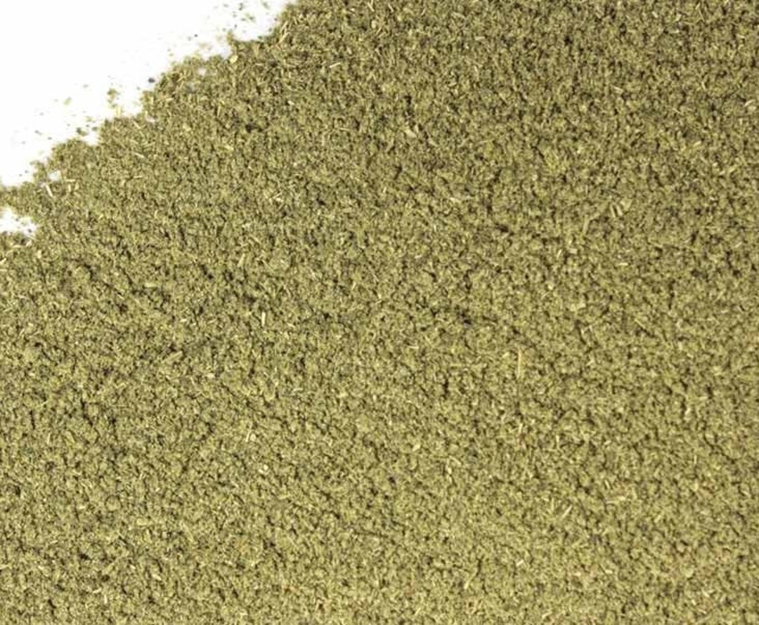 Privet Powder >> 40 GRAMS >> Ligustrum Vulgare - Etsy