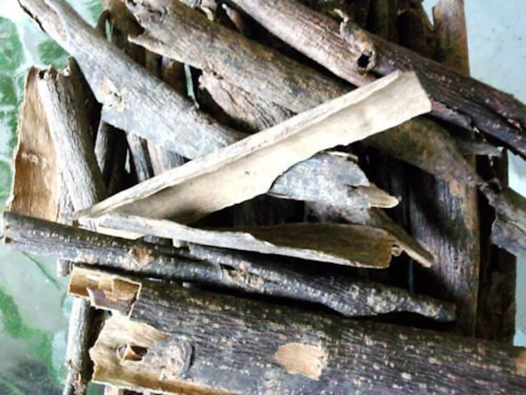 Mauby Bark ( Mavi ) >> 200 GRAMS >> Natural Energy Booster!! - Etsy