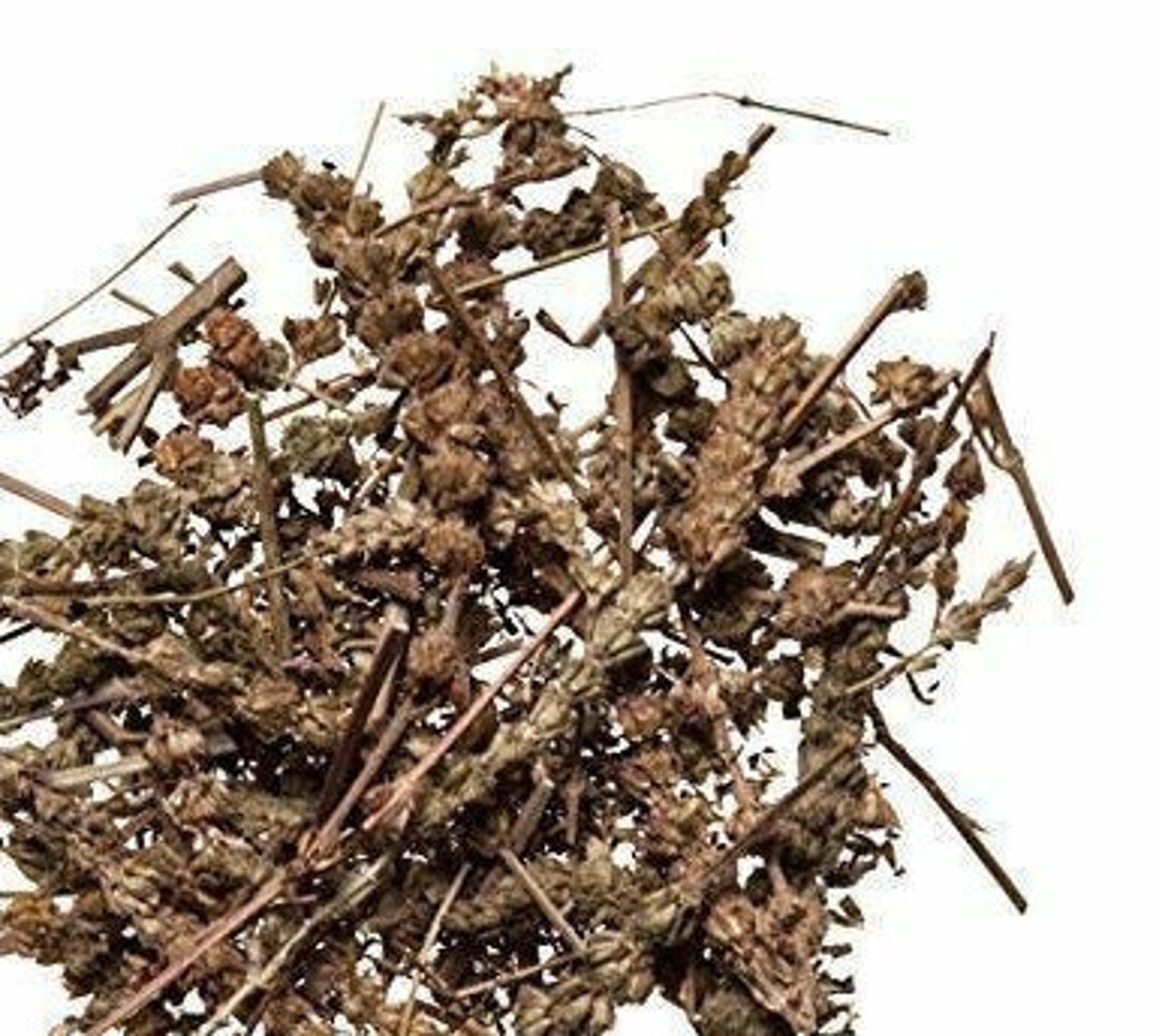 Schizonepeta Bud >> 40 GRAMS >> Jing Jie >> Chinese Catnip - Etsy