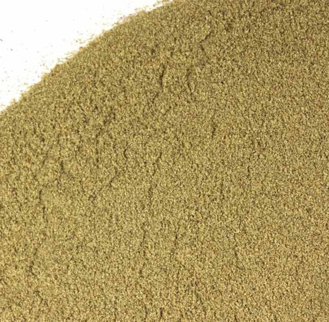 Organic Holy Basil >> Rama > Ocimum Tenuiflorum >> 40 GRAMS - Etsy