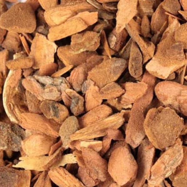 Sassafras Root - Etsy