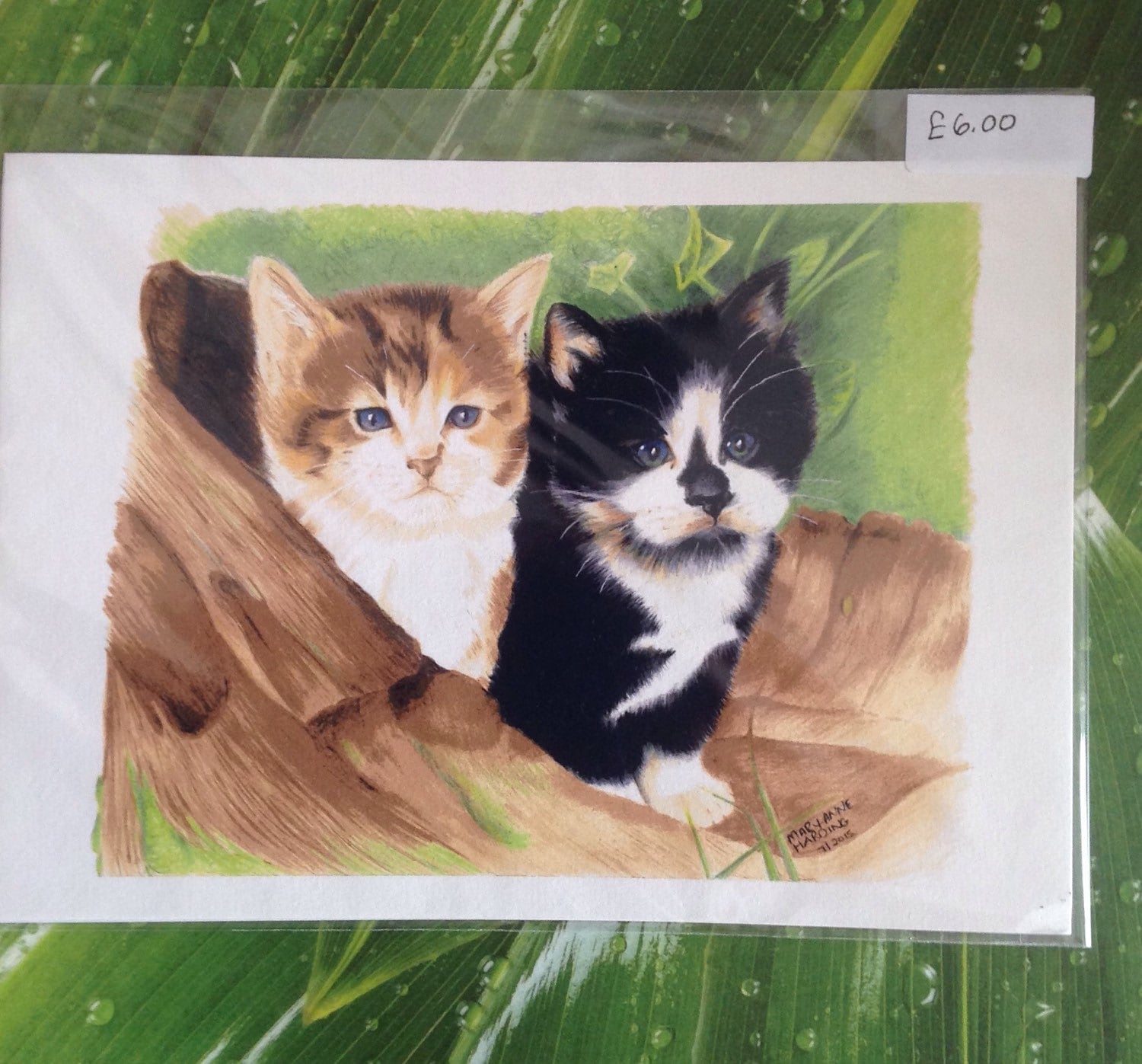 How To Draw A Baby Cat