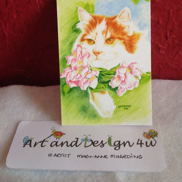Aceo Cat - Etsy