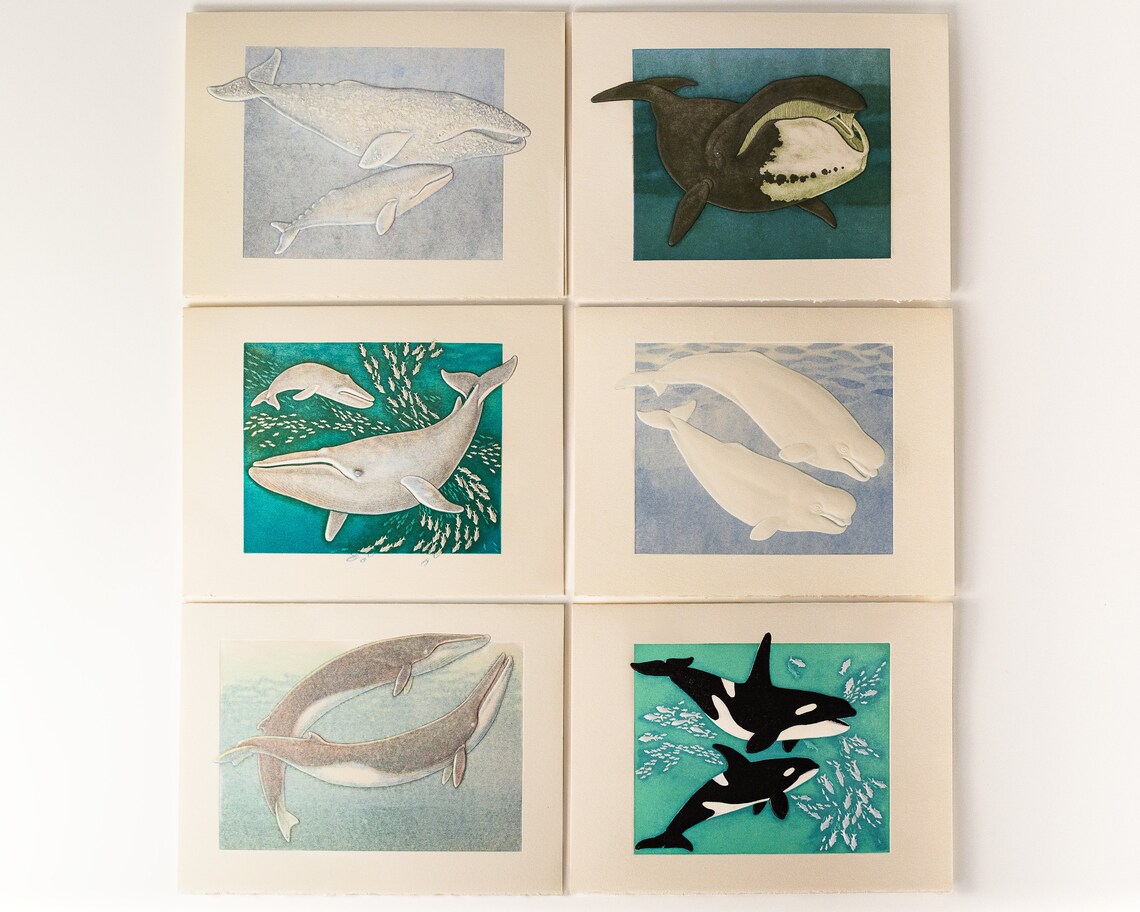 6 Whale Assorted Cards. Embossed Whales Card Set. Ocean Card Set ...