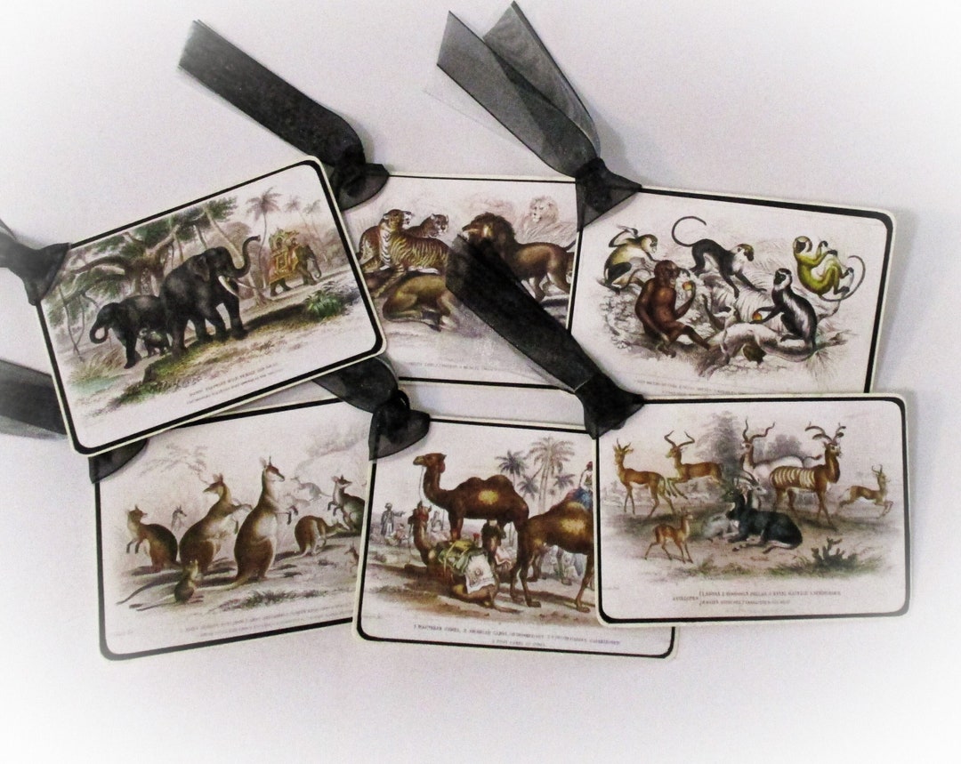 6 Handmade Gift Tags for Men and Boys | Blank Gift Tags With Animals ...