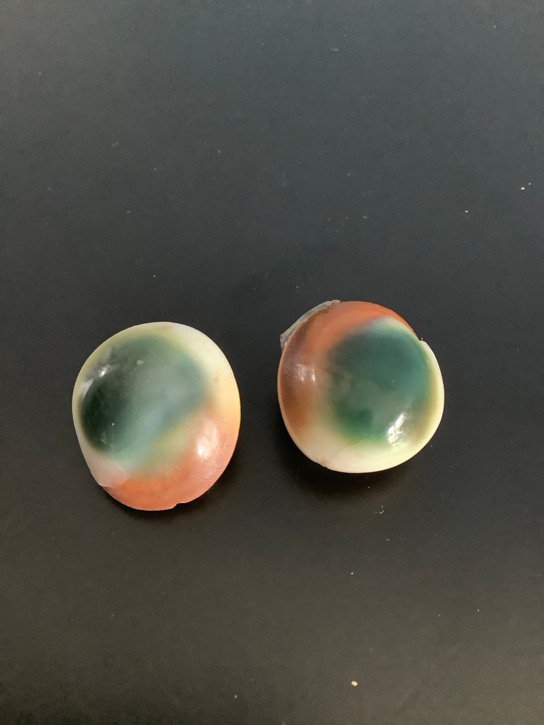 Operculum Shell Earrings - Etsy