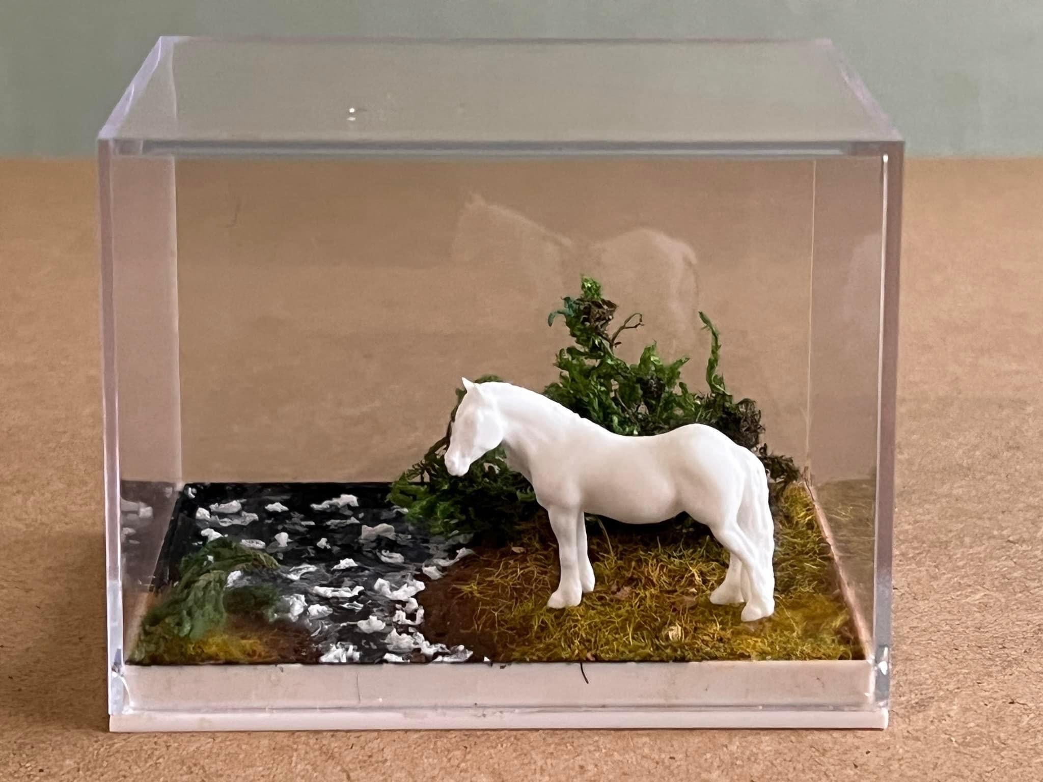 Micro Mini Model Horse Diorama Display Box Stream Scene - Etsy