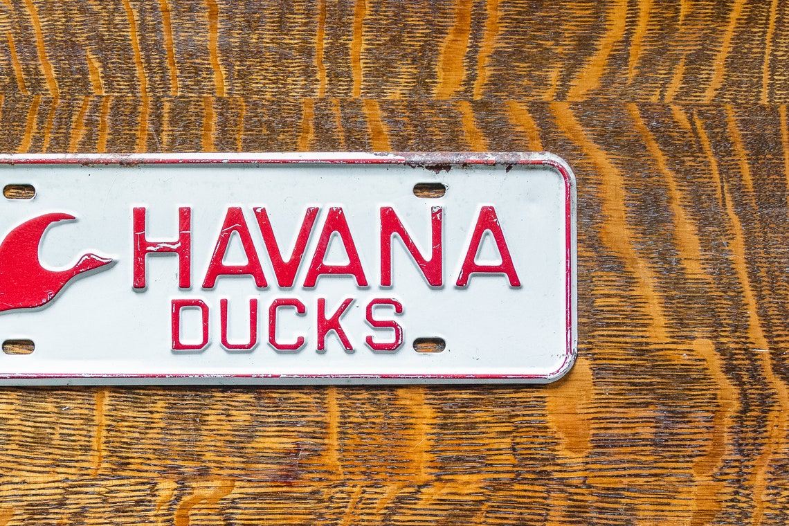 Havana Ducks Illinois License Plate Topper Vintage Bird Decor - Etsy