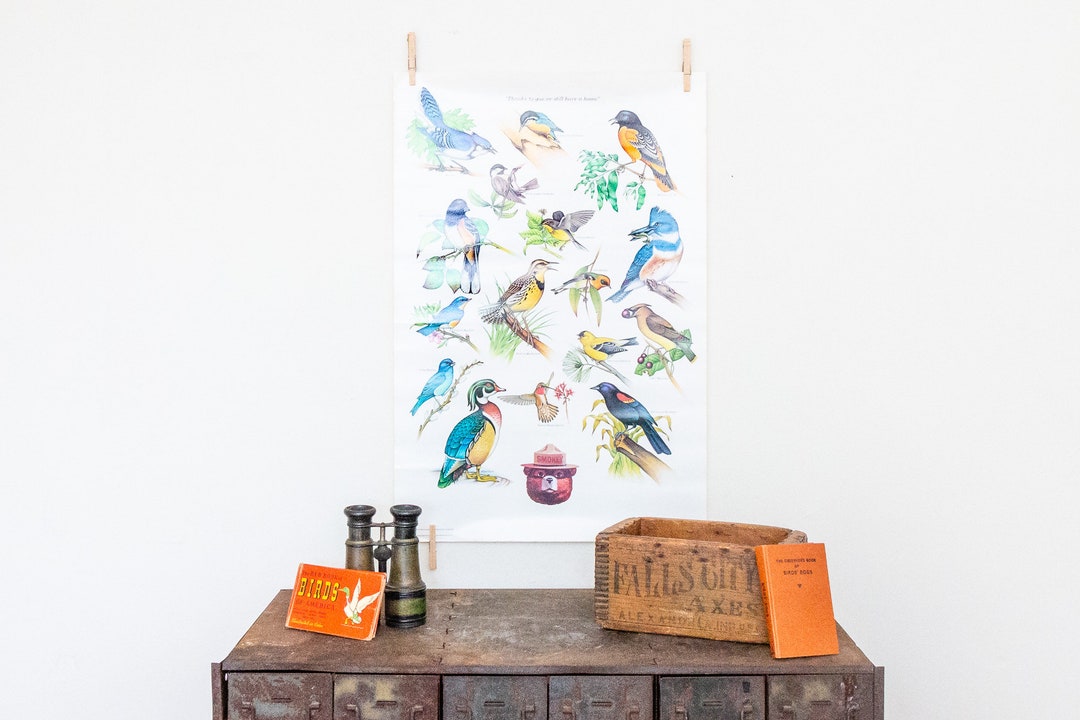 Bird Conservation Vintage Forest Service Poster Wall Decor - Etsy