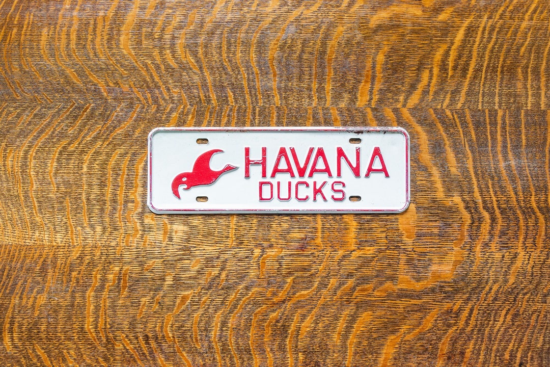 Havana Ducks Illinois License Plate Topper Vintage Bird Decor - Etsy