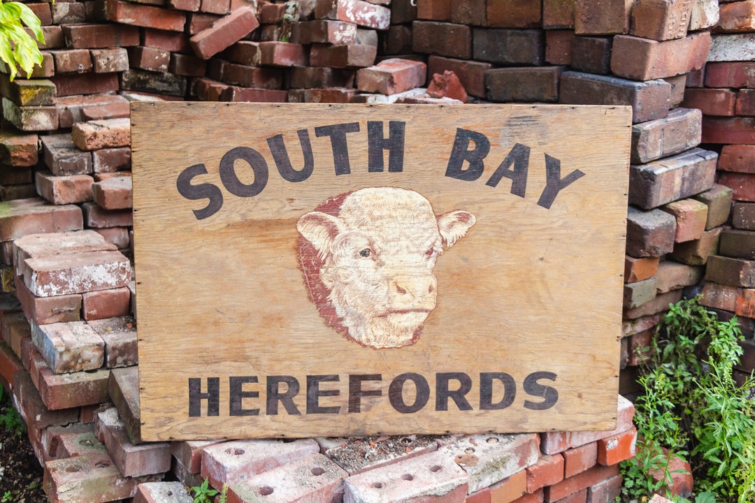 South Bay Hereford Cow Sign Vintage Painted Wood Farm Sign - Etsy