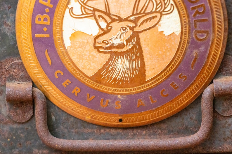 IBPOE Elks Badge Vintage Fraternal Order Radiator Emblem - Etsy