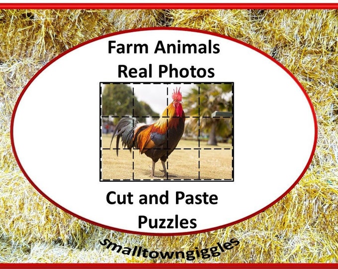 Brown Bear Brown Bear Cut and Paste Puzzles Special Education Preschool ...