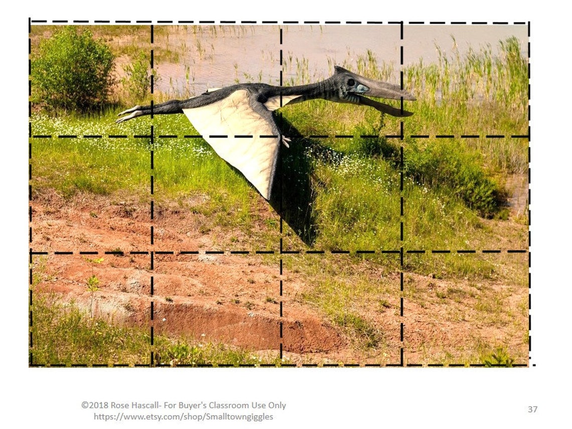 Dinosaur Realistic Photos Cut and Paste Puzzles T-rex Pre-k. - Etsy