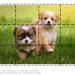 Dogs Puppies Cut and Paste Puzzles, Fine Motor Skills, Teaching ...