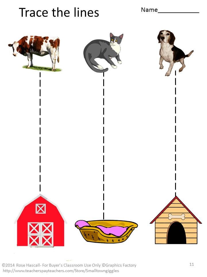 Animals Tracing Lines Worksheets Internet Activities P-K,K, Special ...