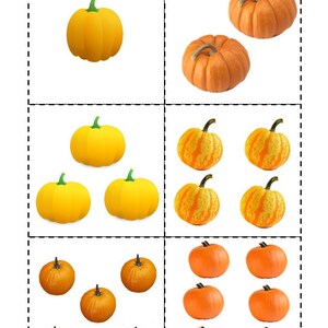 Fall Counting Pumpkins Interactive Cut and Paste Notebook Flip Book ...