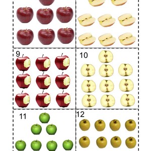 Apple Counting Interactive Cut and Paste Flip Book Special Education ...