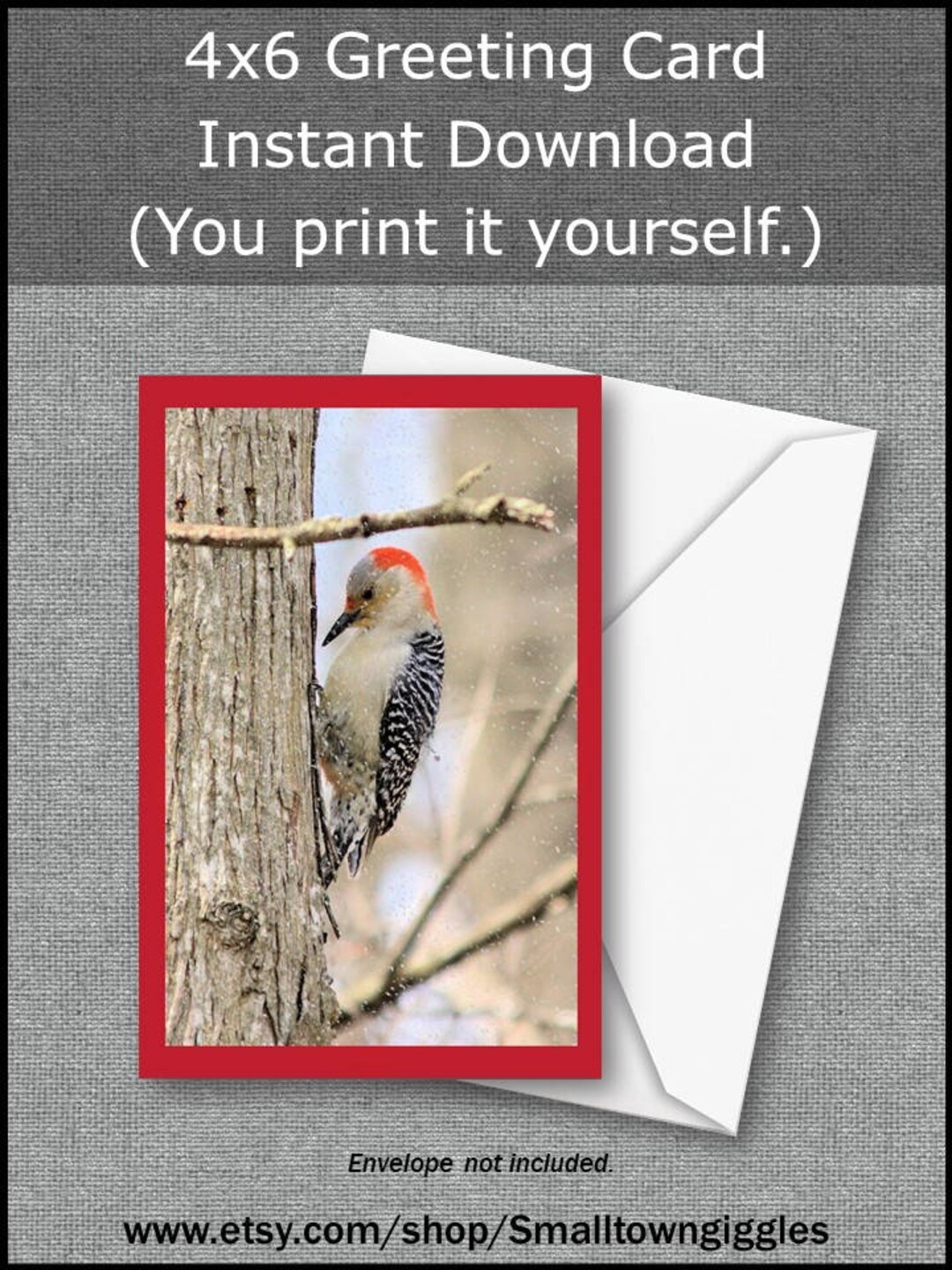 All Occasion Greeting Card Printable Download Instant Download Bird ...