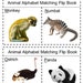 Zoo Animal Alphabet Uppercase Lowercaseletter Matching Cut and Paste ...