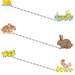 Animals Tracing Lines Worksheets Internet Activities P-K,K, Special ...
