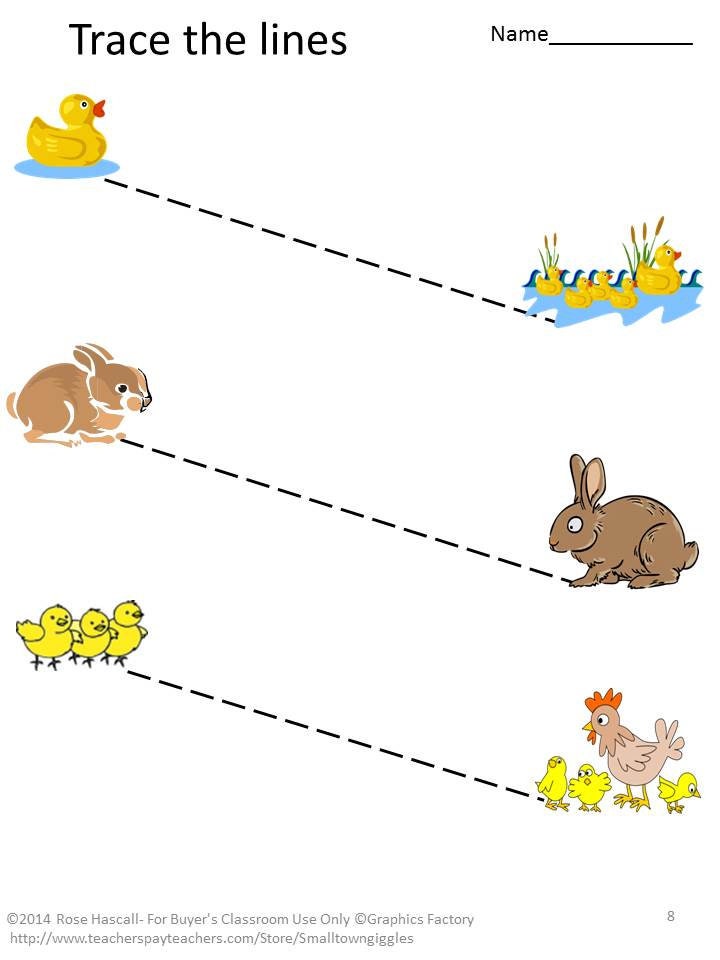 Animals Tracing Lines Worksheets Internet Activities P-K,K, Special ...