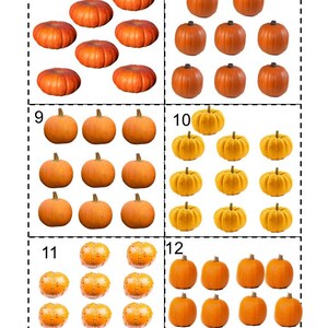 Fall Counting Pumpkins Interactive Cut and Paste Notebook Flip Book ...