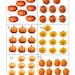 Fall Counting Pumpkins Interactive Cut and Paste Notebook Flip Book ...