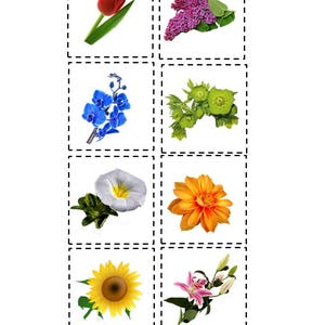 May Unit Math Literacy Cut Paste Activities, Bundle, May Themed ...