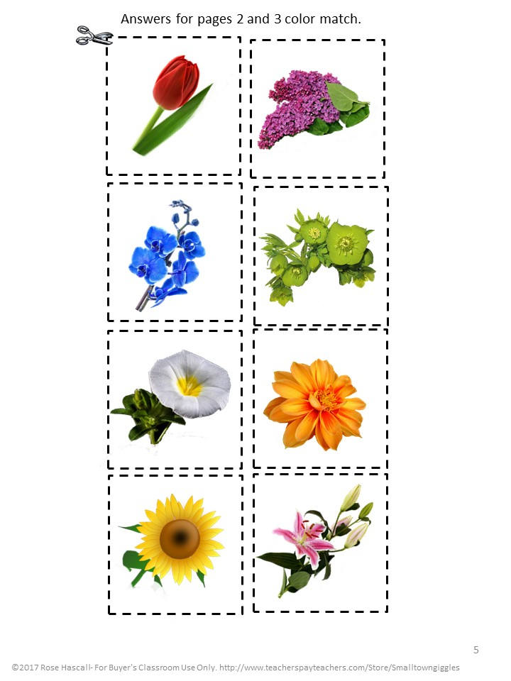 May Unit Math Literacy Cut Paste Activities, Bundle, May Themed ...