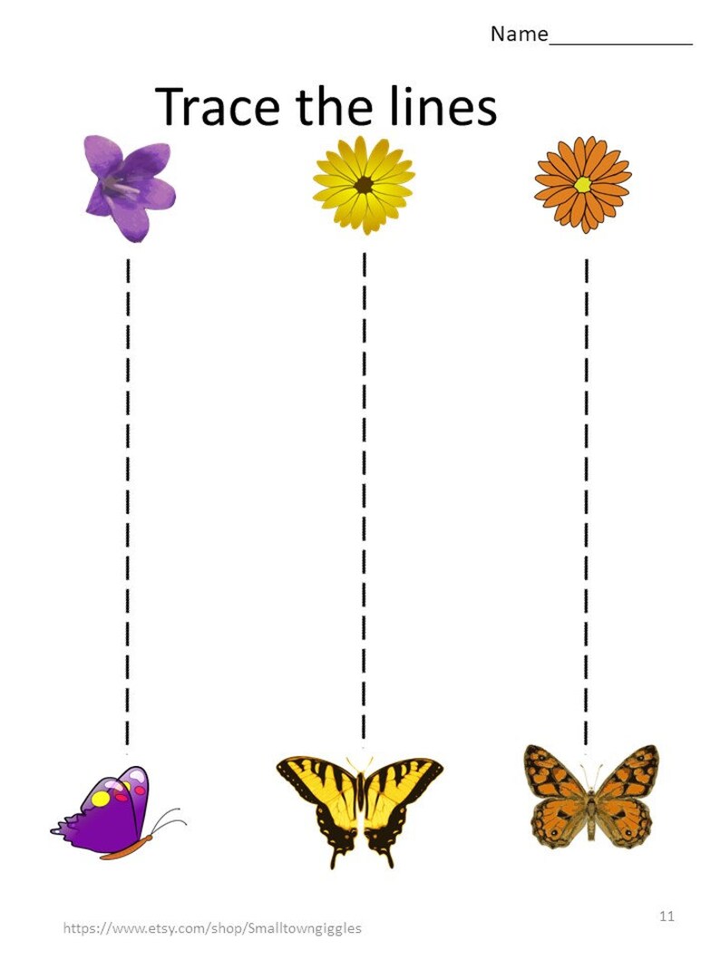 Tracing Worksheets, Fine Motor Skill Activities,sorting Everyday ...