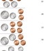 Coins Money Activities Counting Coins Identifying Coins Special ...