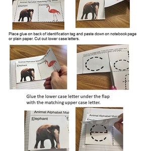 Zoo Animal Alphabet Uppercase Lowercaseletter Matching Cut and Paste ...