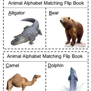 Zoo Animal Alphabet Uppercase Lowercaseletter Matching Cut and Paste ...