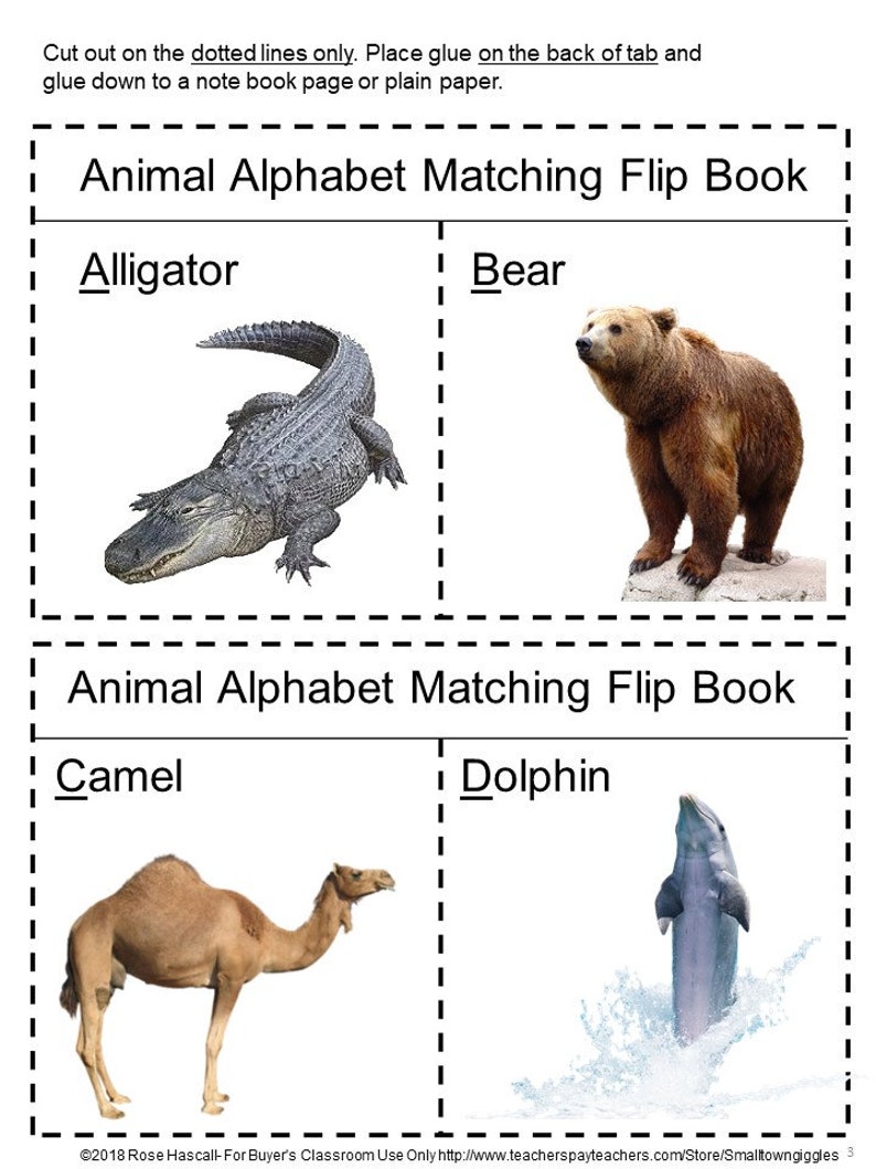 Zoo Animal Alphabet Uppercase Lowercaseletter Matching Cut and Paste ...