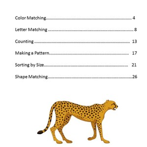 Zoo File Folder Games Fine Motor Skills Color Matching Letter Matching ...