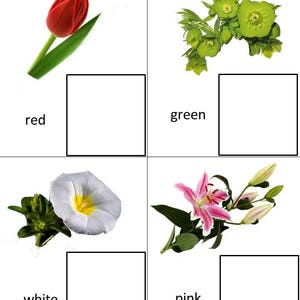 May Unit Math Literacy Cut Paste Activities, Bundle, May Themed ...