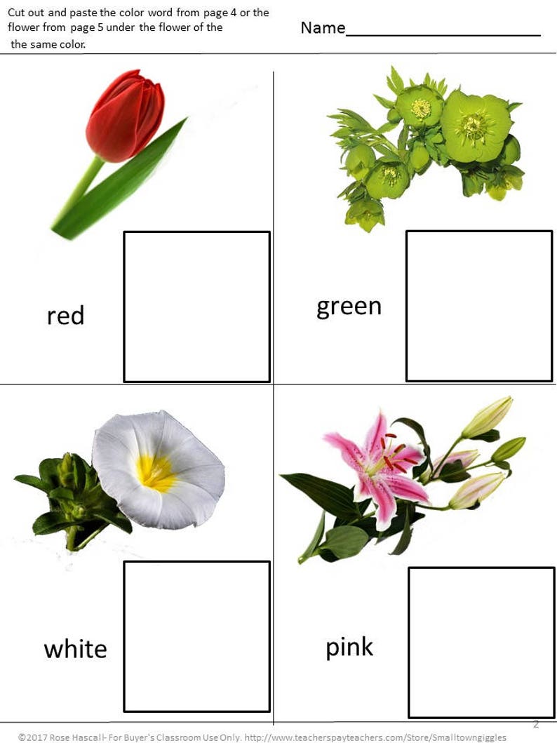 May Unit Math Literacy Cut Paste Activities, Bundle, May Themed ...