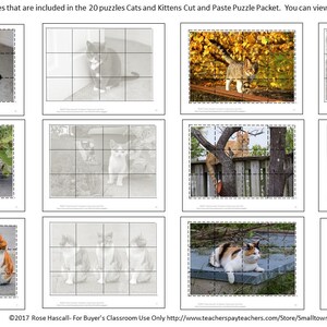Cats and Kittens Cut and Paste Puzzles Fine Motor Skills Preschool ...