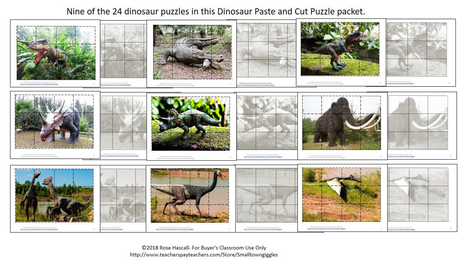 Dinosaur Realistic Photos Cut and Paste Puzzles T-rex Pre-k. - Etsy