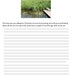 Creative Writing Prompts Paper Original Photography Creative Writing ...