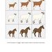 Preschool File Folder Games, Farm Animals Printables, Digital Download ...