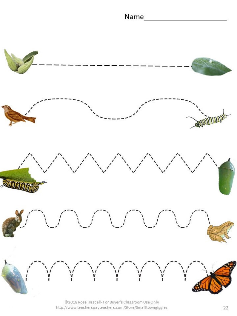Amazing Matilda, A Monarch Tale, Butterfly, Cut and Paste, Mazes, P-K ...